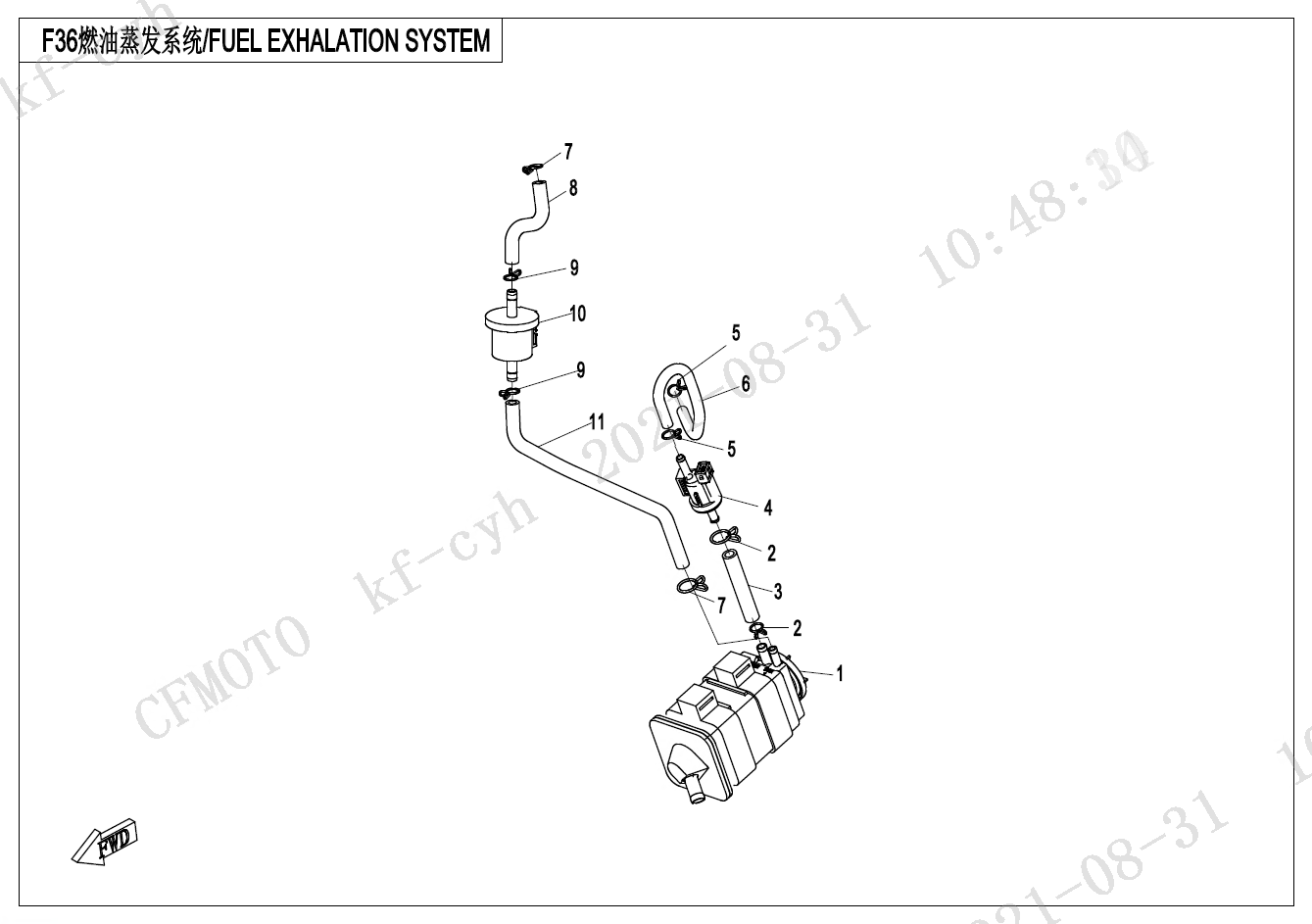 300NK FUEL EVAPORATION SYSTEM – cfmotowholesale